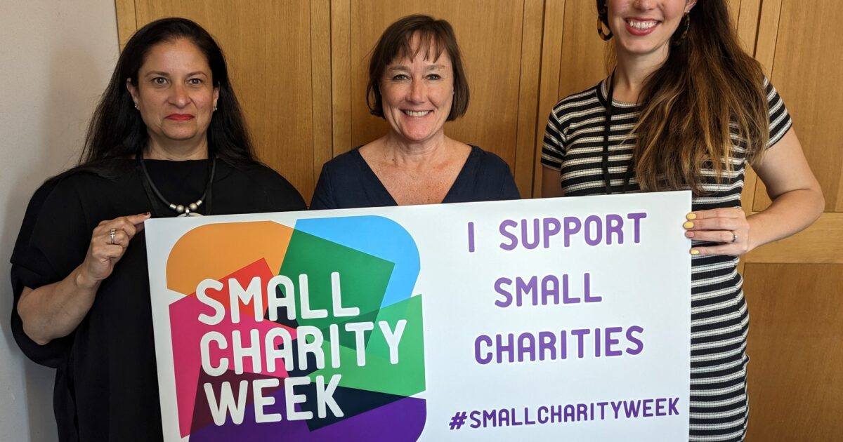 Small Charities Week - Jo Stevens