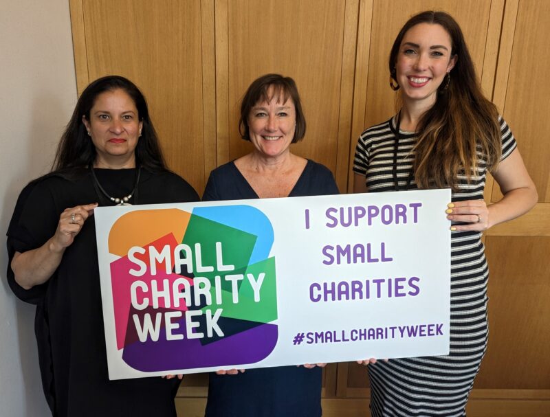 Small Charities Week - Jo Stevens